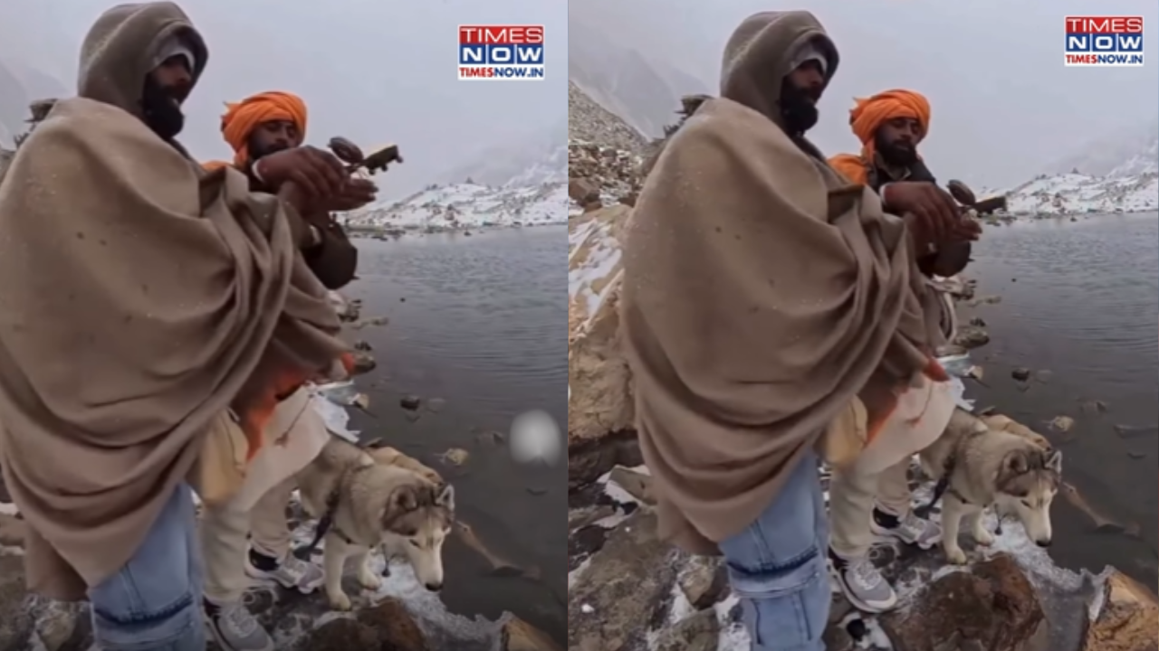 ‘Sanatani Husky’: Hilarious viral video shows pet dog ‘singing’ aarti ...