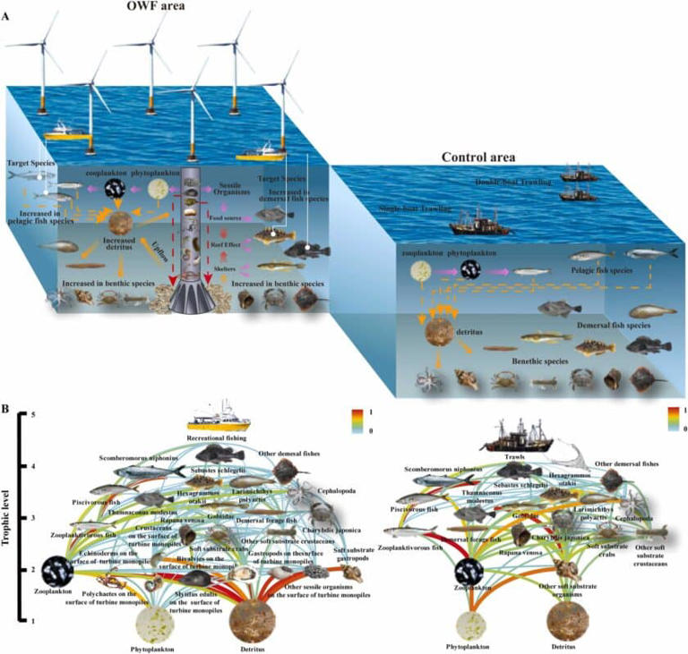 Built to power cities, China’s wind farms are doing more than just ...