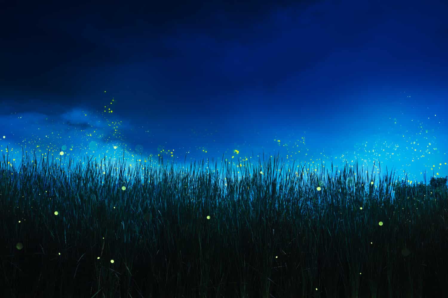 Fading summer lights: Why firefly populations are declining worldwide