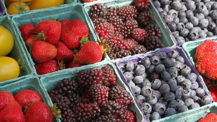 How farmers' markets are reviving local food cultures