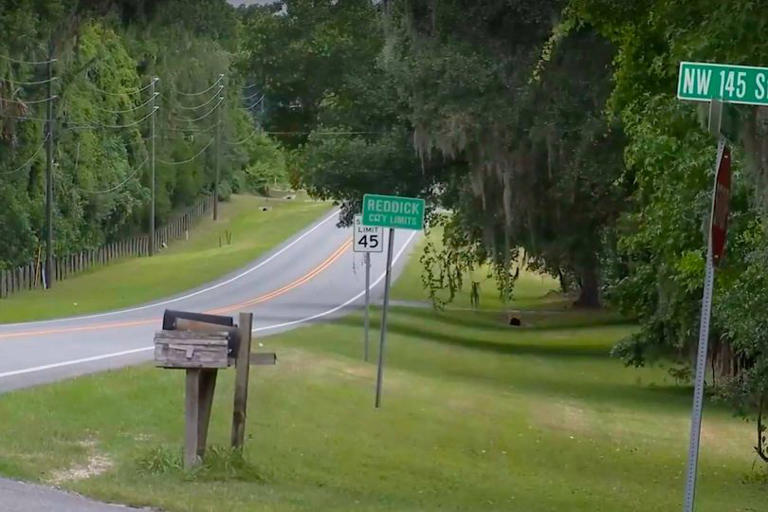 14-year-old 'sexually battered' defenseless neighbor, 91, in ...