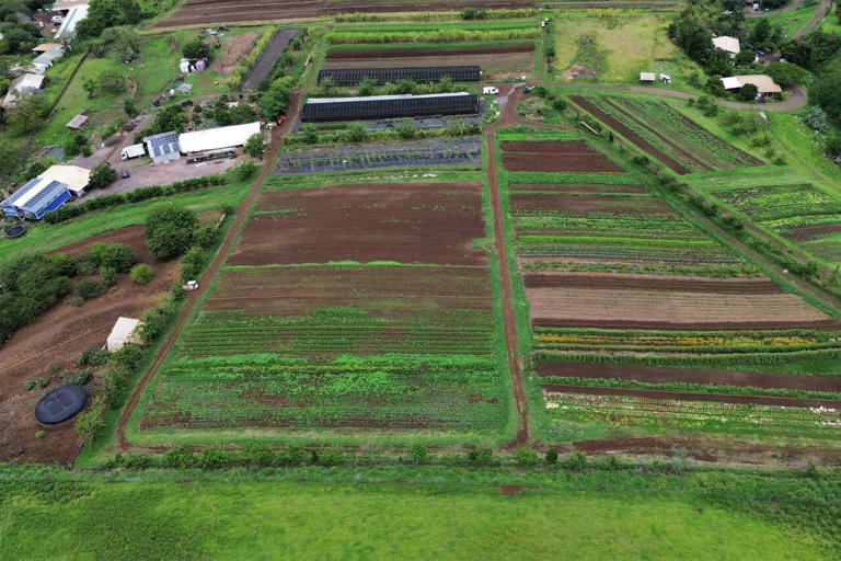 Hawaii's newest tourist attractions are on the farms