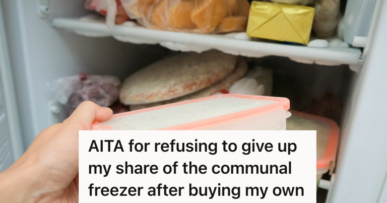 Woman buys a small freezer to keep in the living room, so her roommates ...