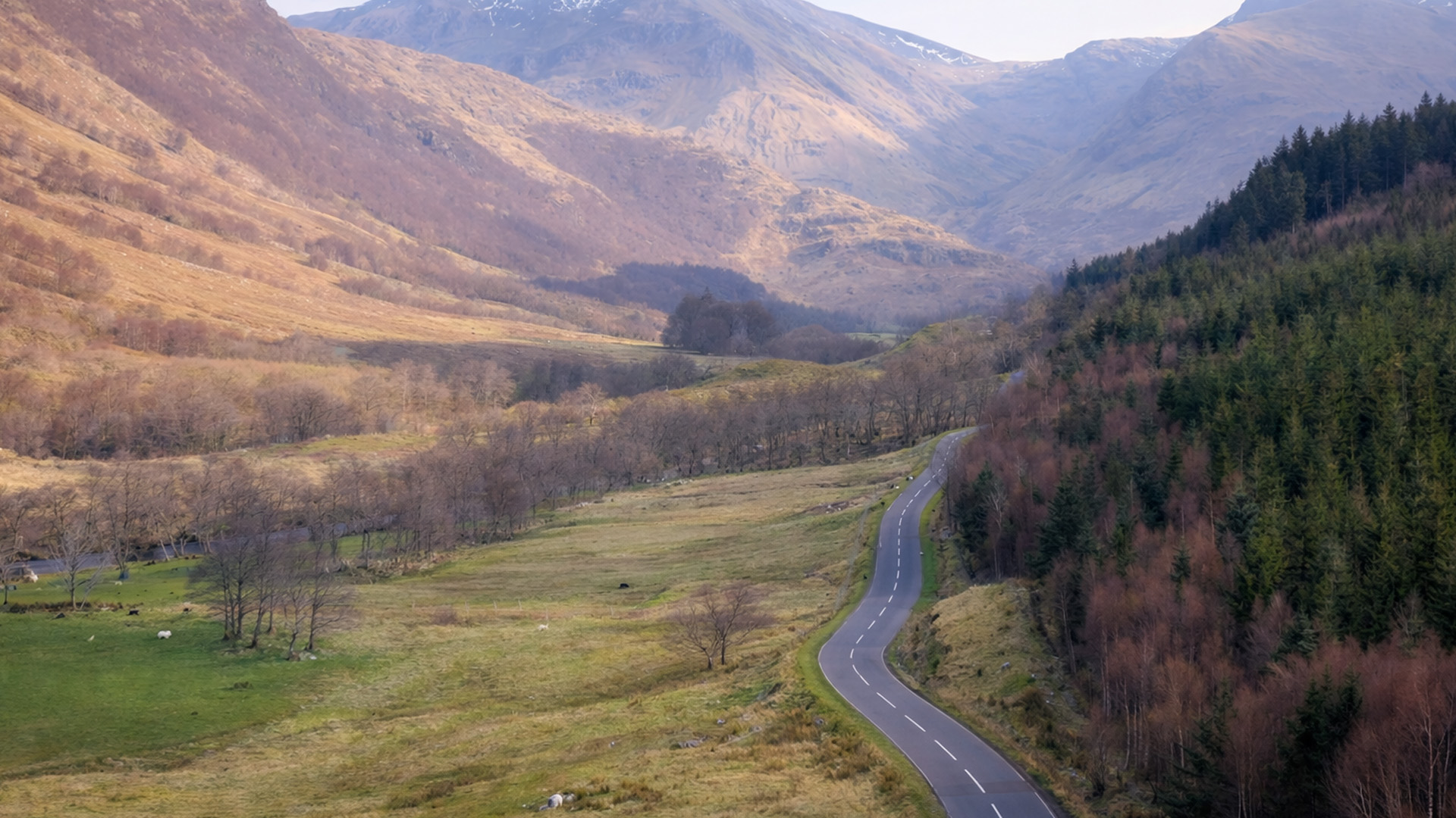 Empty road through Scottish Highlands
