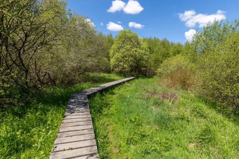 This laid-back Oklahoma town makes a simple, affordable life feel ...