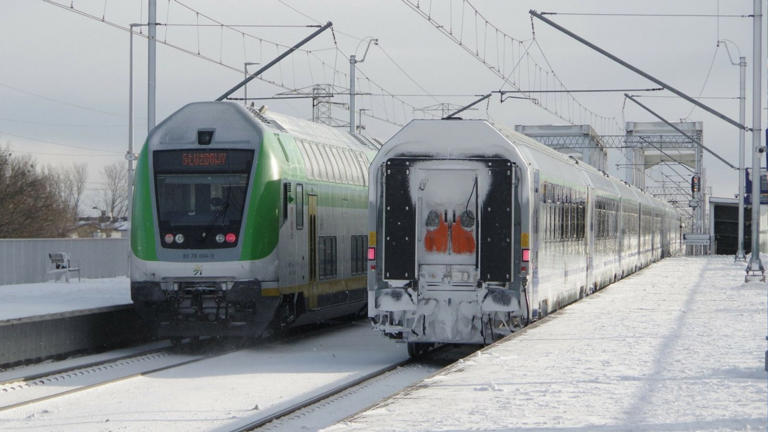 Tragedia na kolei w Grodzisku Mazowieckim. Nie żyje mężczyzna potrącony ...