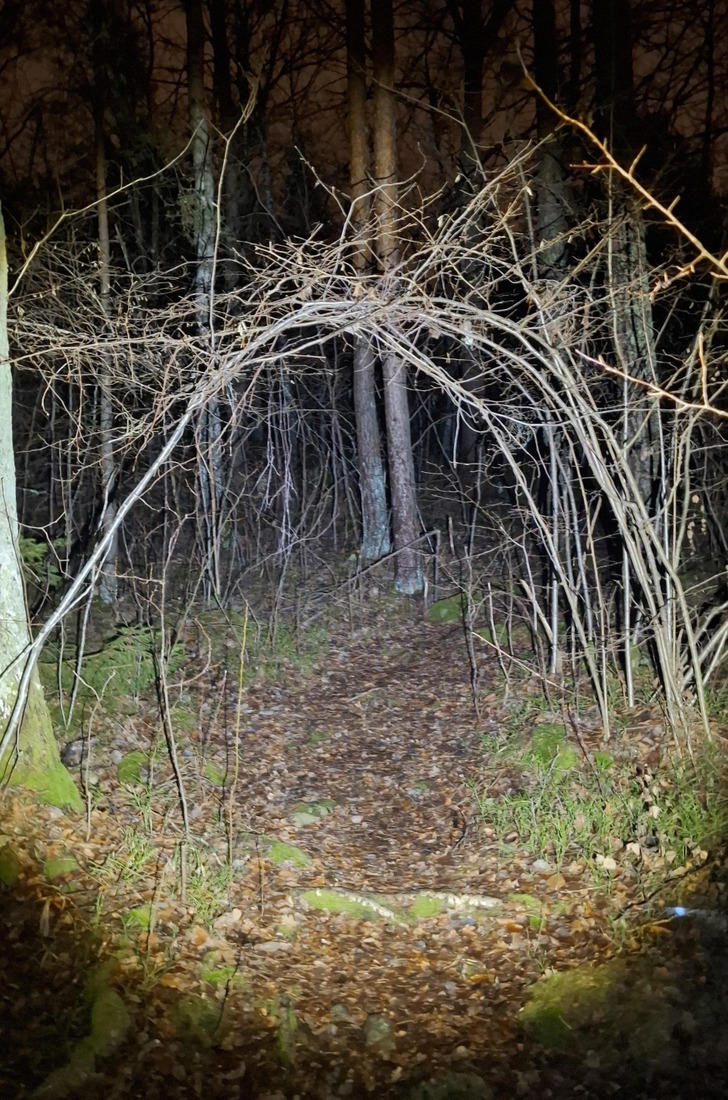 16 times an ordinary day took a completely unexpected turn