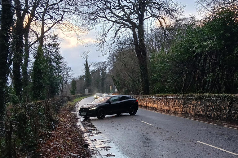 Watch: Video of uncertain cars as they decide whether to drive through ...