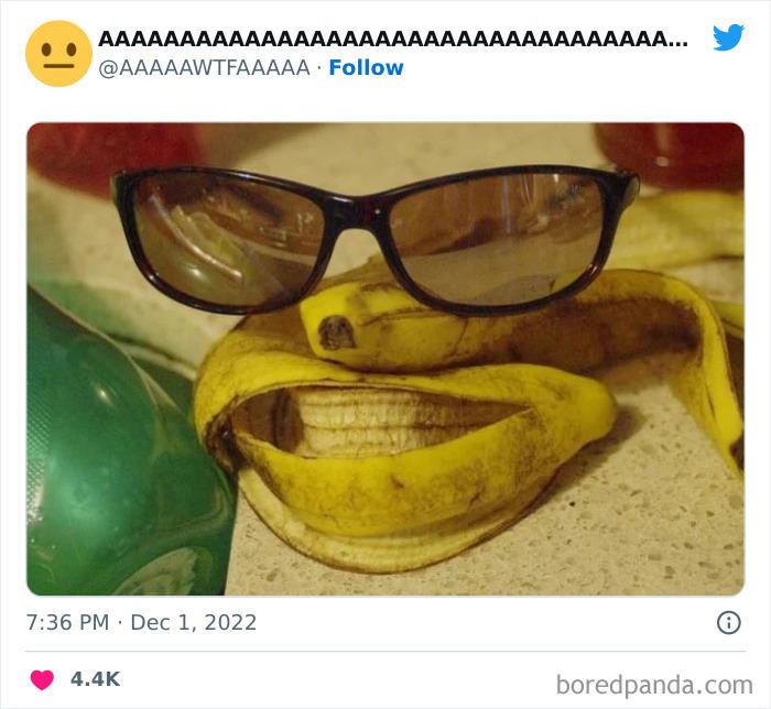 37 random pics from the internet that are so weird they’re funny