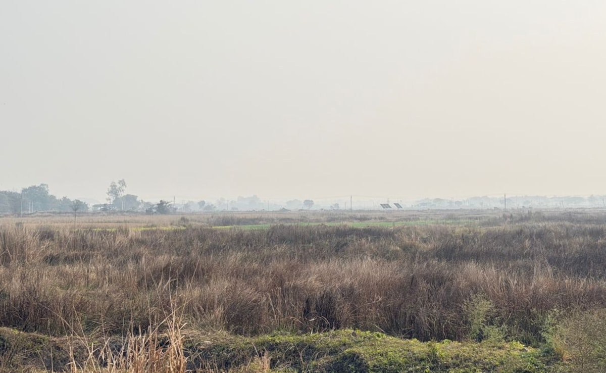 Singur movement changed Bengal's politics, but not farmers' lives