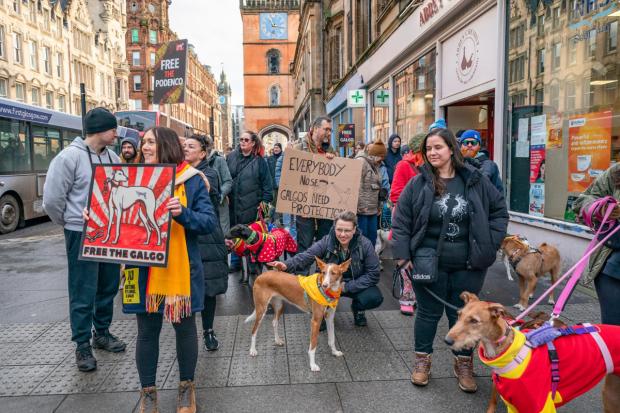 Peaceful protest to take place in Glasgow demanding end to hunting with ...