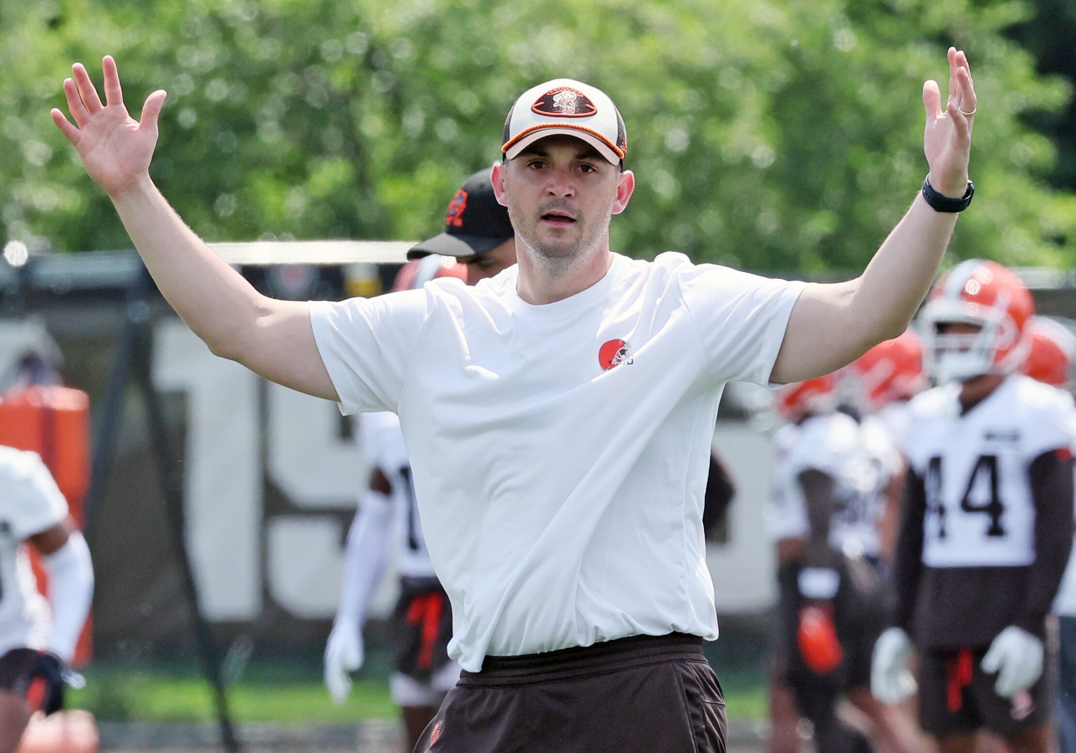 Browns’ coaching search puts spotlight on OC job: Will Tommy Rees stay ...