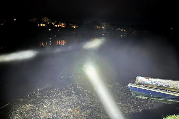 Dolphins find their way into small creeks of Fal Estuary