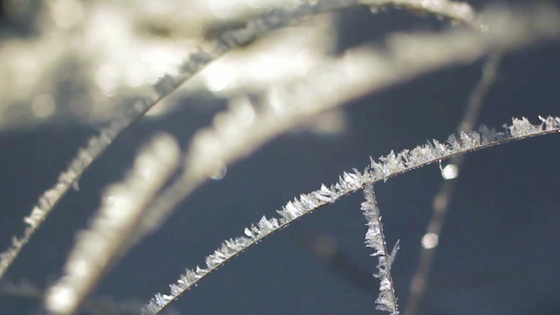 Dangerous cold is coming with the most sunshine