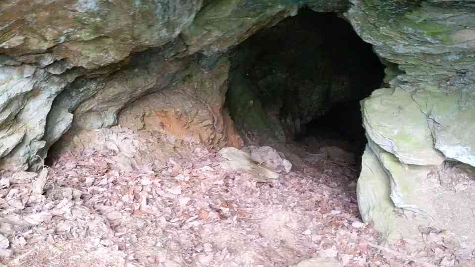 Entering a beautiful water labyrinth was easy getting out was not
