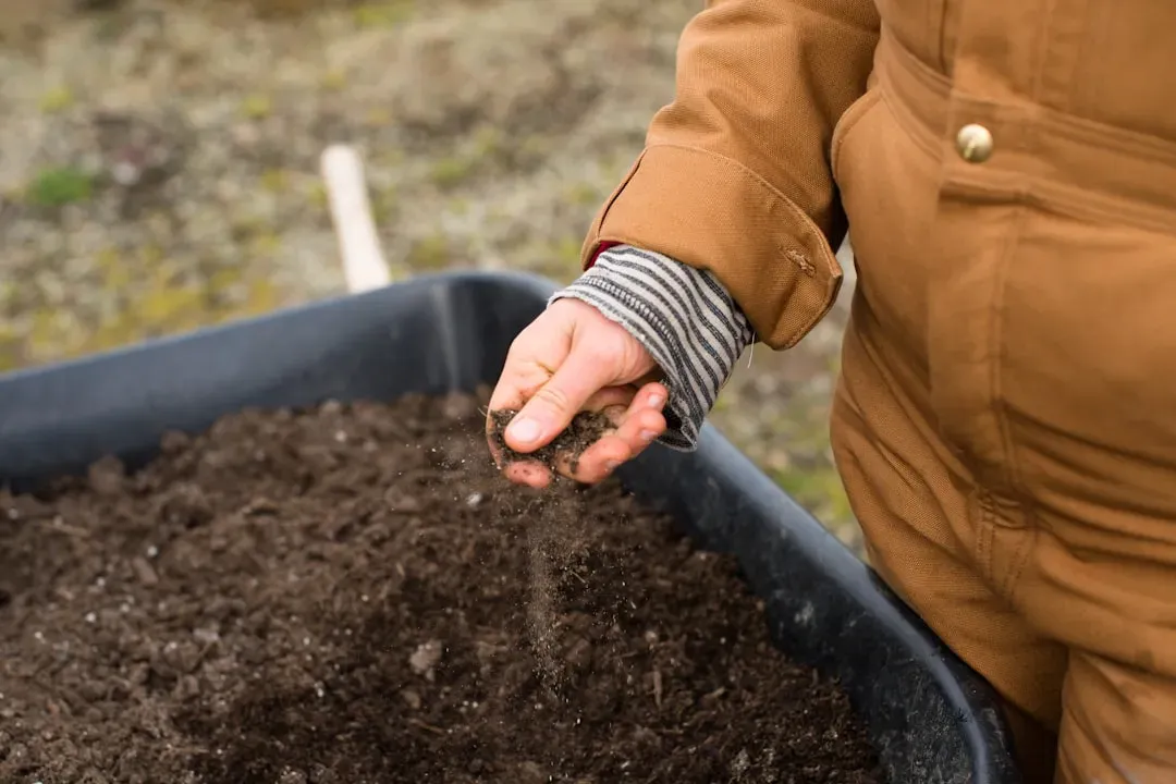 Everything you've been taught about "sustainable" beef is a lie: The ...
