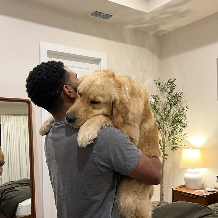 Golden retriever Jax refuses to grow up and loves a good cuddle
