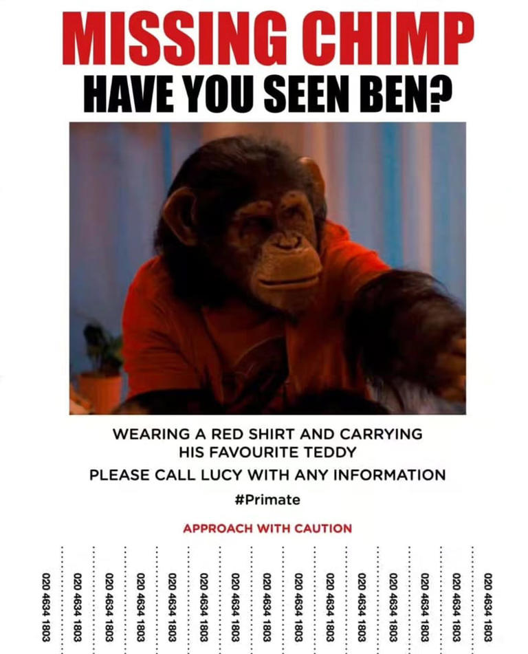 Have you seen Ben? Viral “Missing” poster indicates ‘Primate’ sequel in ...
