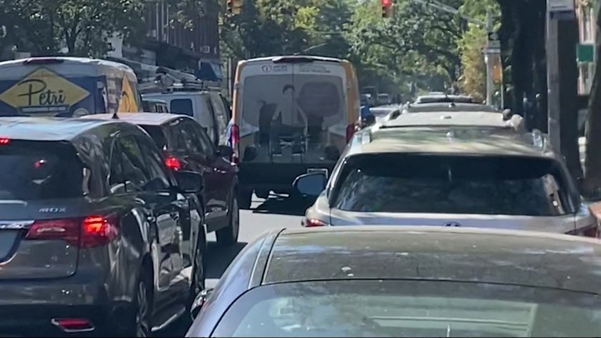 Brooklyn Supreme Court judge tosses lawsuit against Court Street bike ...