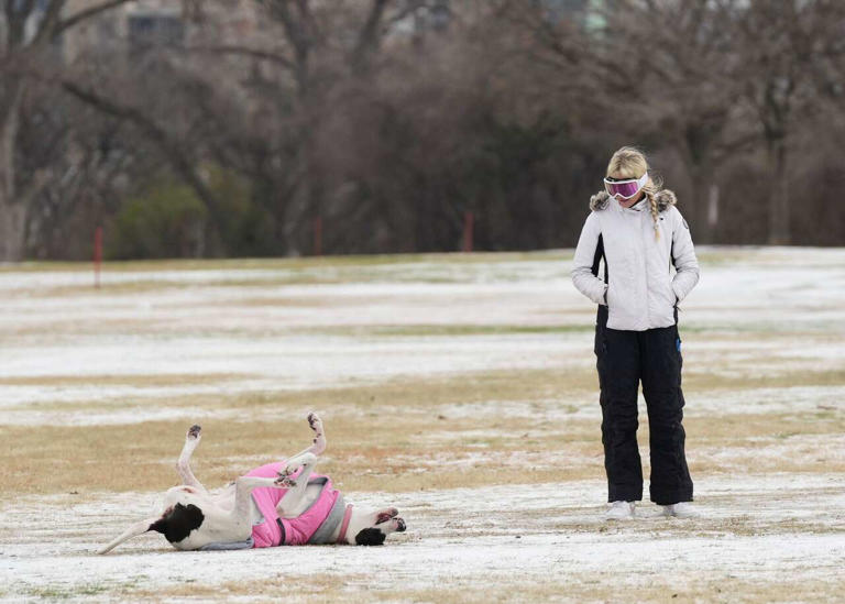 Here's how to keep pets warm with freezing temperatures coming to Austin