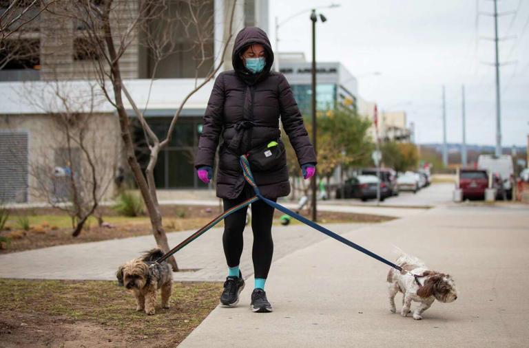 Here's how to keep pets warm with freezing temperatures coming to Austin