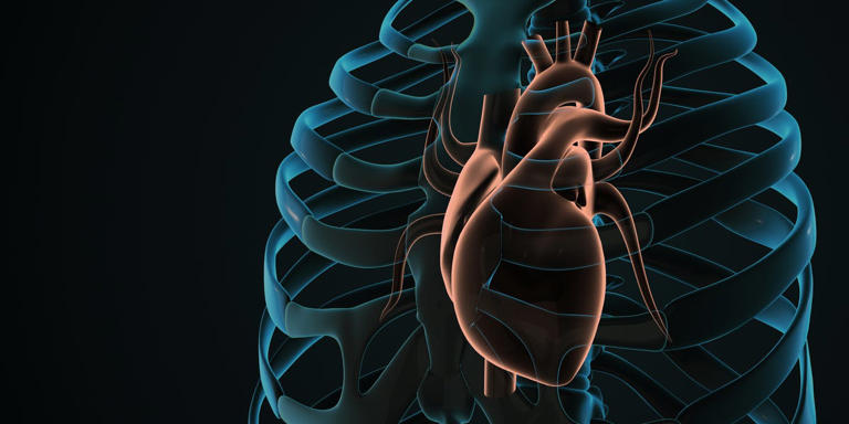 Surgeons just performed the first open heart surgery without ever ...