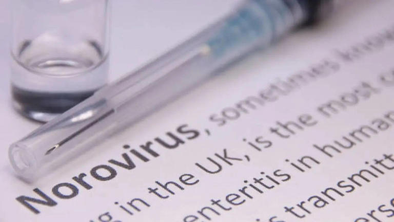 Your money is dirtier than you think: Currency spreads life-threatening ...