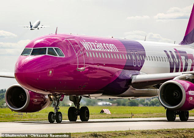 Met officer reveals he re-mortgaged family home to fund his £100,000 ...