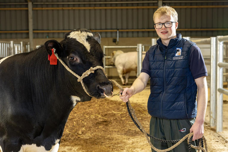 AI services supports talent development pipeline