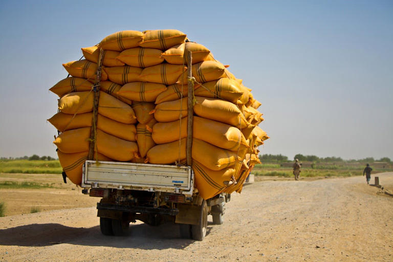 Afghanistan’s heroin boom years ended with US military exit, UN report ...