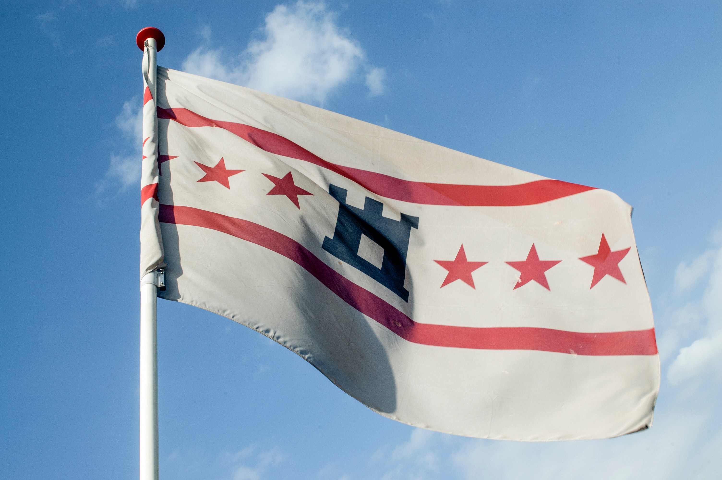 Het geheim van de Drentse vlag: wat doen die zes sterren en dat kasteel ...