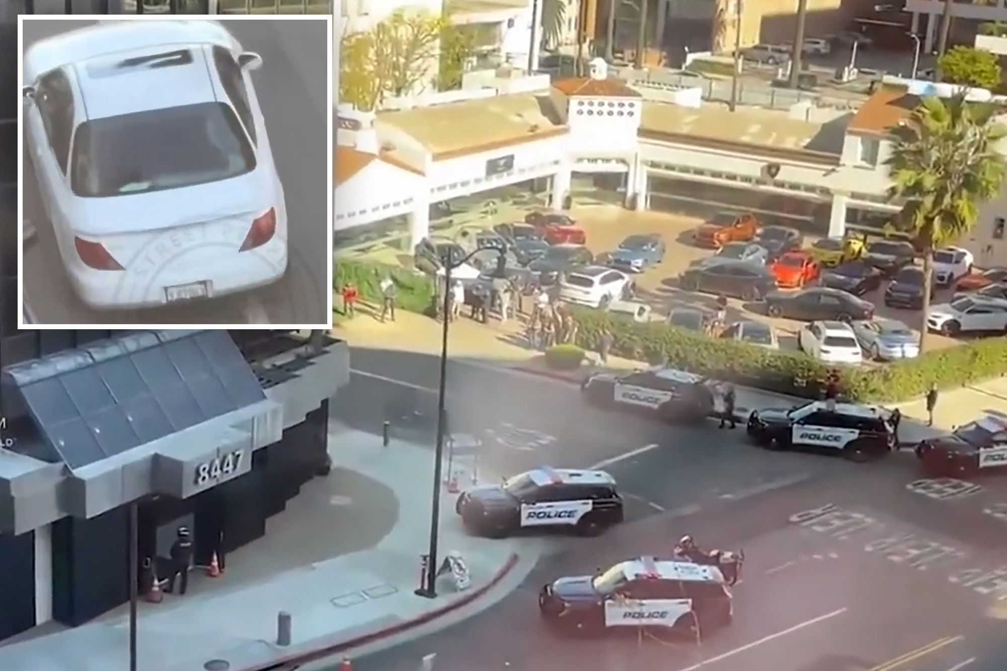 Man killed in horror Beverly Hills attack after being beaten, run over ...