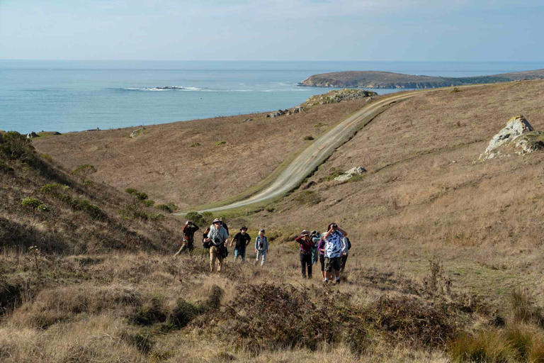 This massive stretch of California’s Sonoma Coast just opened to the ...