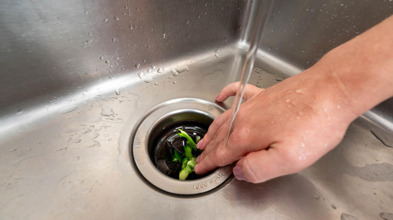 Here's how often you should actually clean your garbage disposal