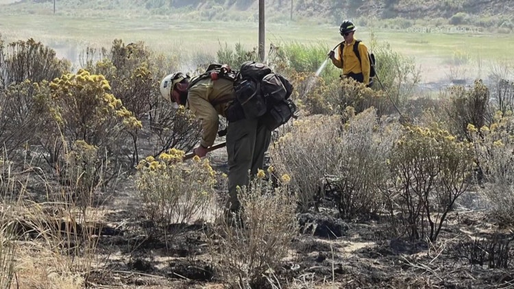 Polis appeals Trump administration's disaster declaration denials for ...