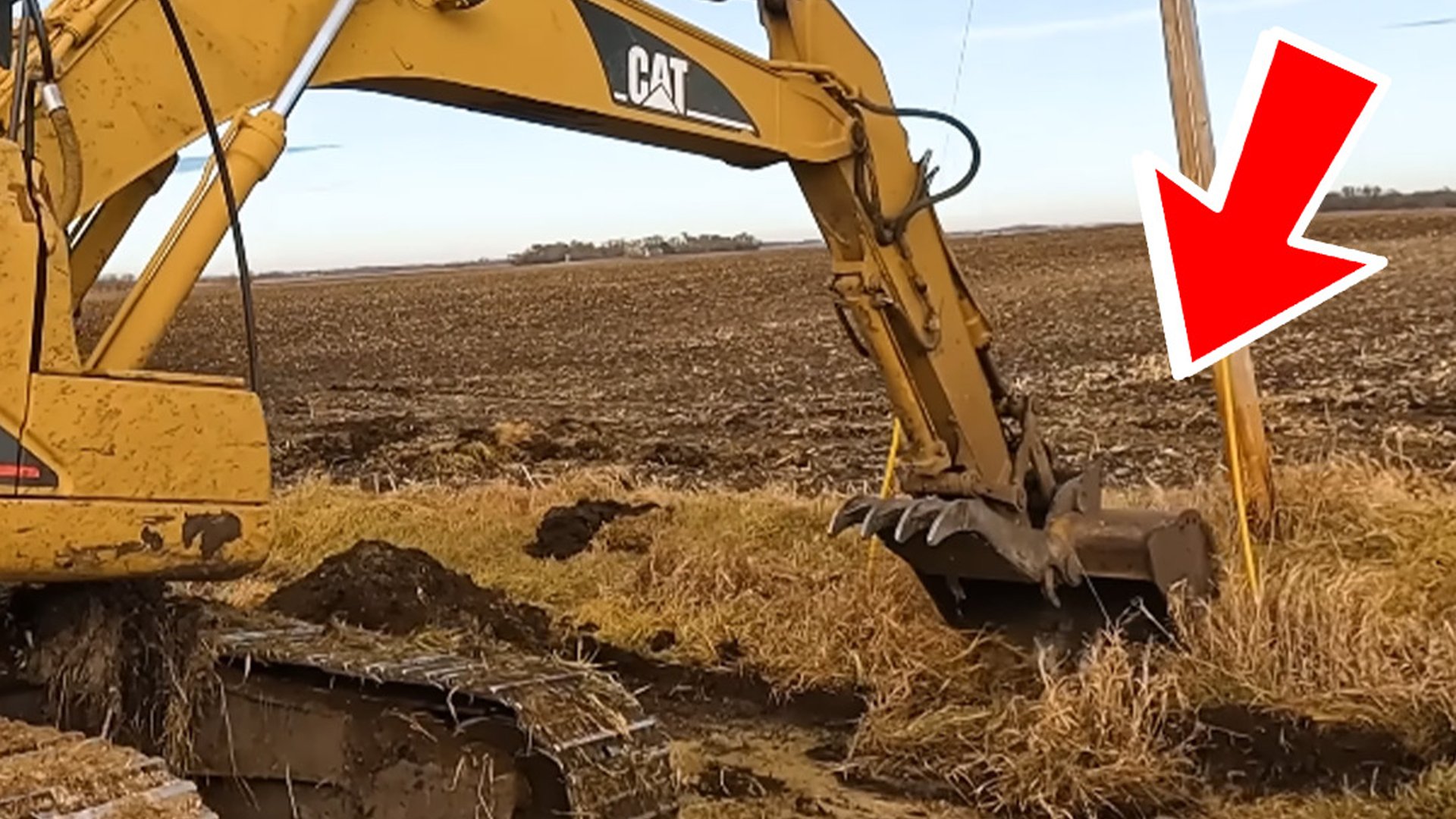 We should never have started this project!