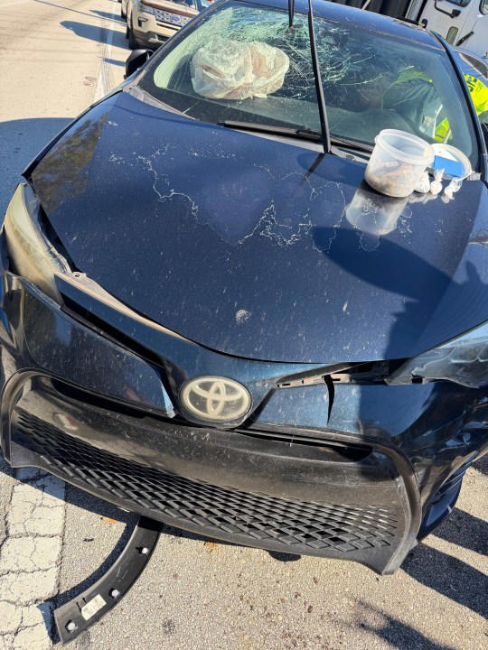 ‘Going back to jail for a long time’: Tampa man arrested on drug ...