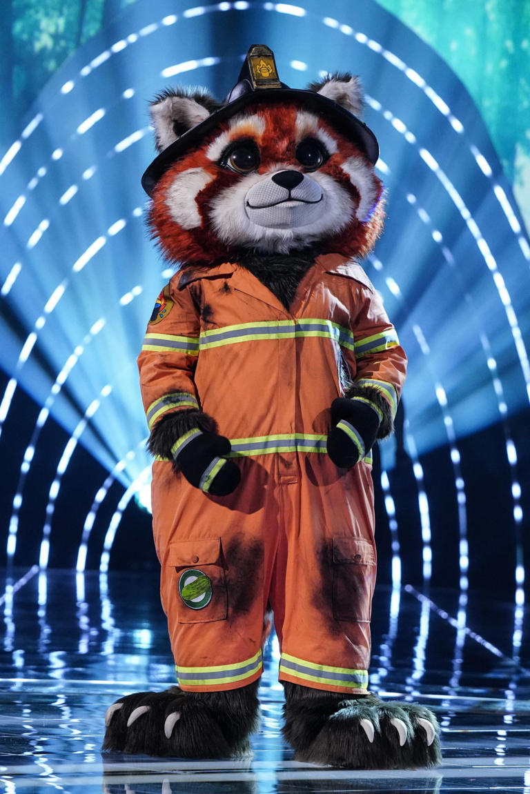 Masked singer mystery: Why Red Panda's debut was axed