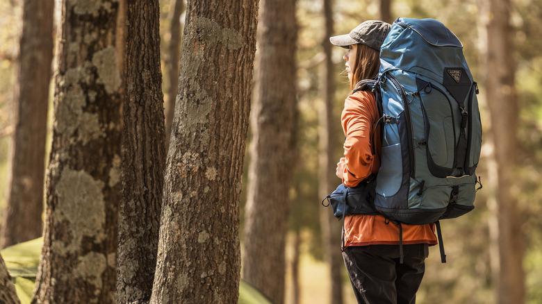 Costco's essential Timber Ridge hiking pack you can only find online