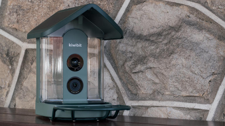 Kiwibit Beako 4K smart bird feeder with solar roof