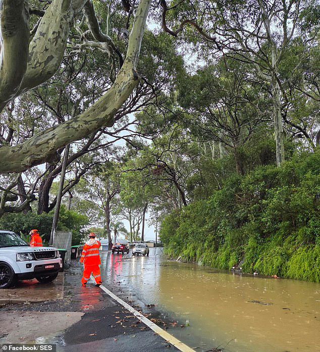 Sydney floods: Wild storm sparks urgent evacuation as heavy rainfall ...