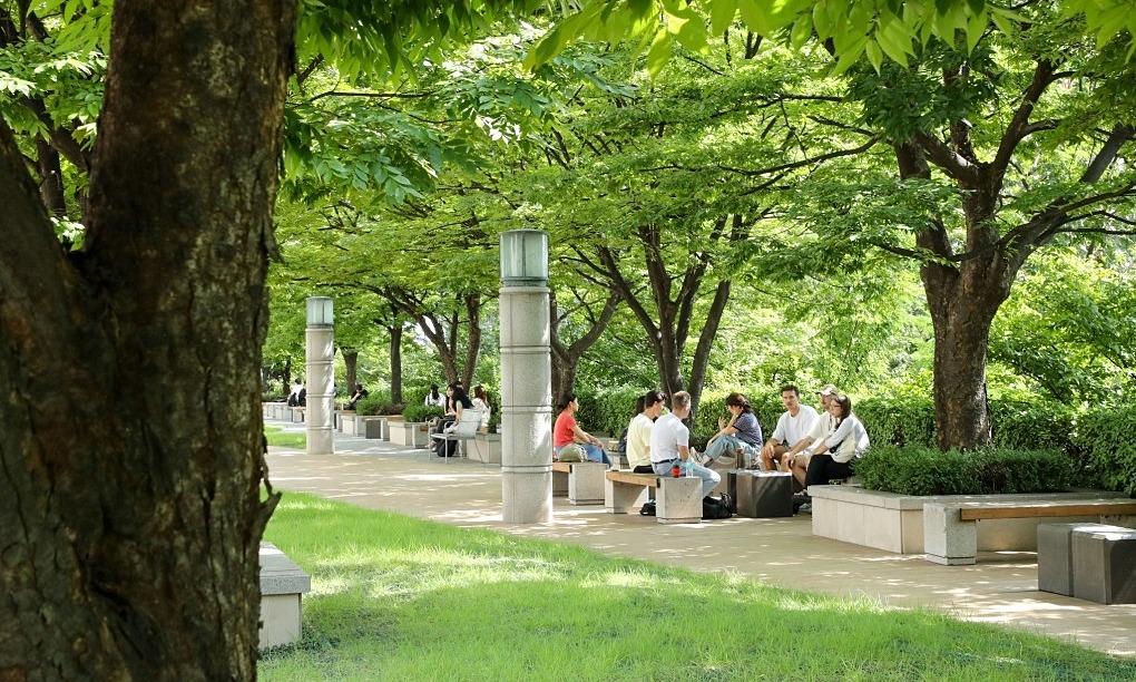 1 in 9 international students in South Korea overstay visas or work ...