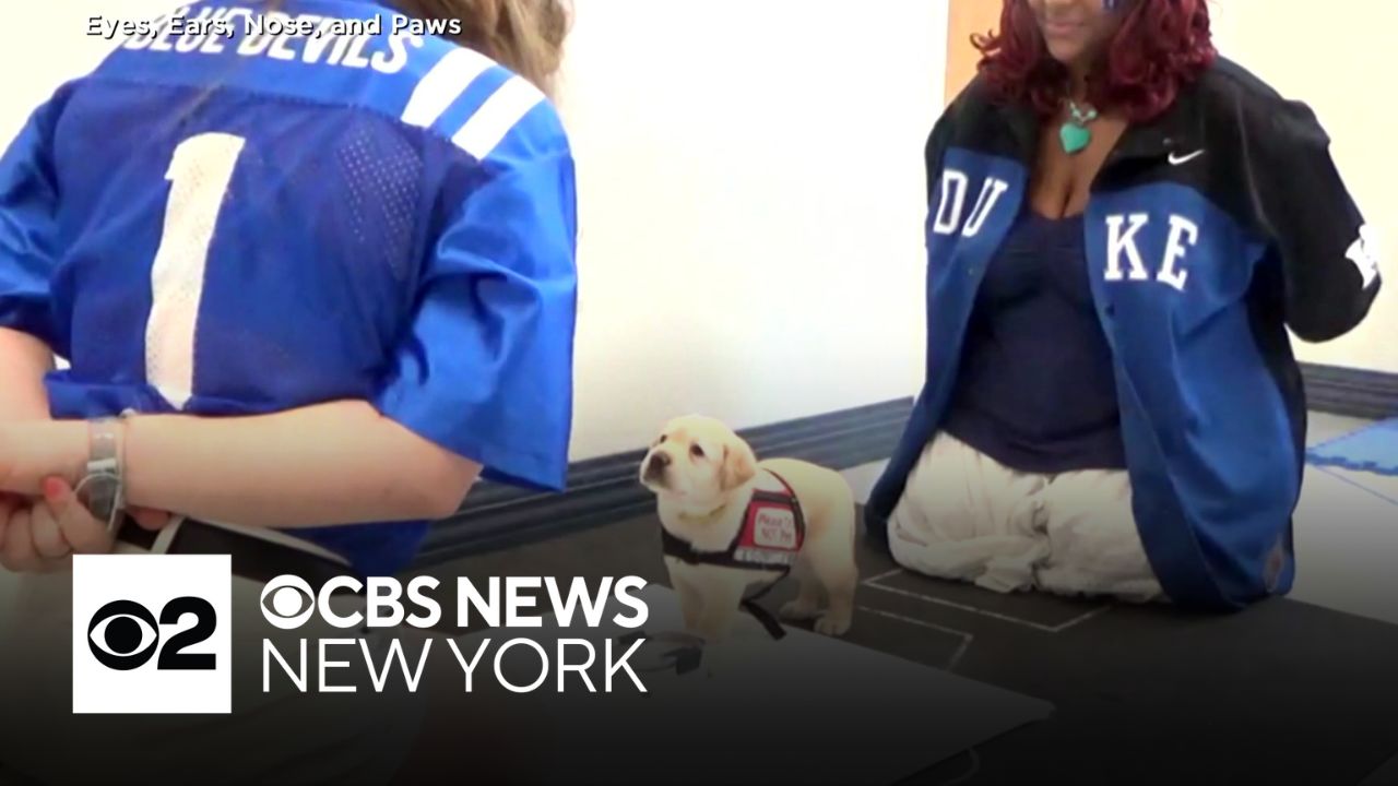 Dogs can pick up on what owners are thinking, new study finds