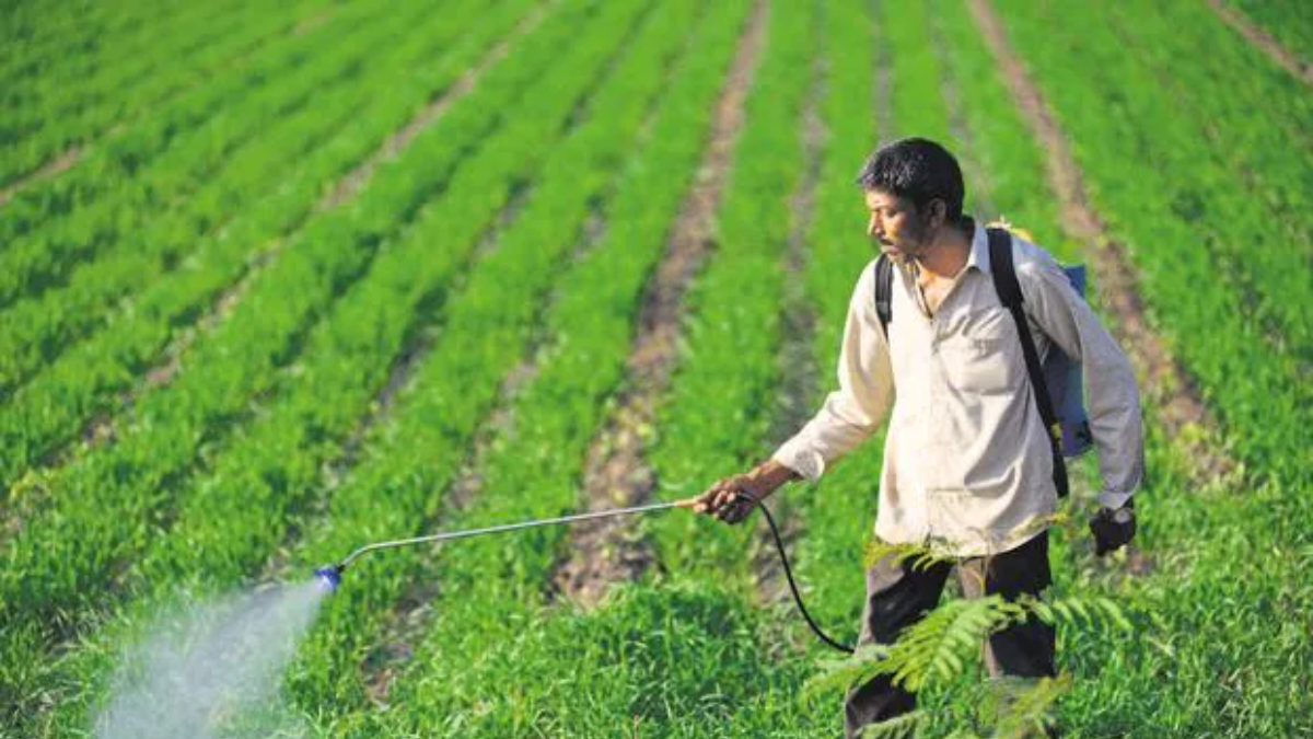 Green revolution in India: Causes, key features and impact