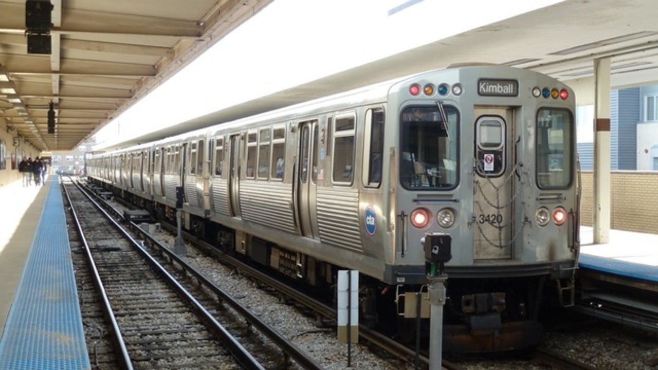 CTA Brown and Red lines delayed due to medical emergency near Diversey