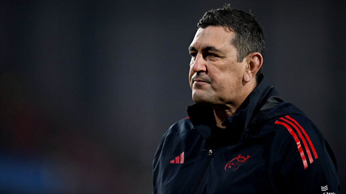 Build up of 'little things' hurt Munster in the end, says McMillan ...