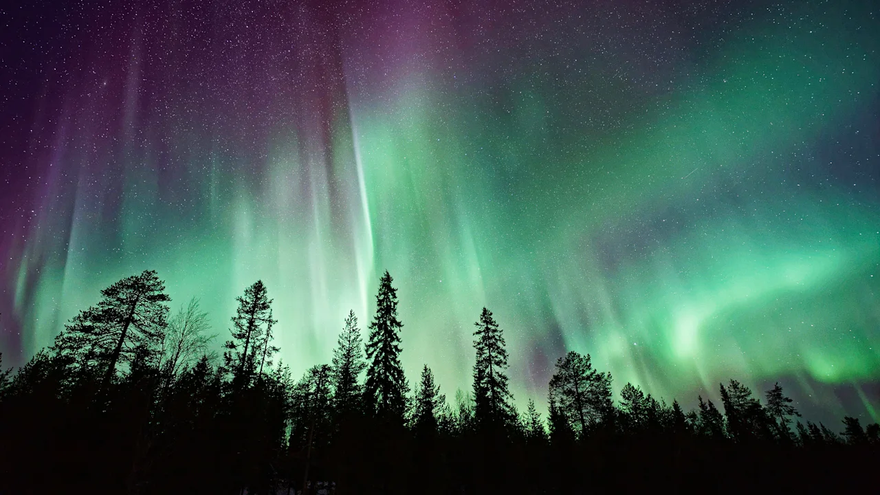 The northern lights could be visible in more than a dozen US states ...