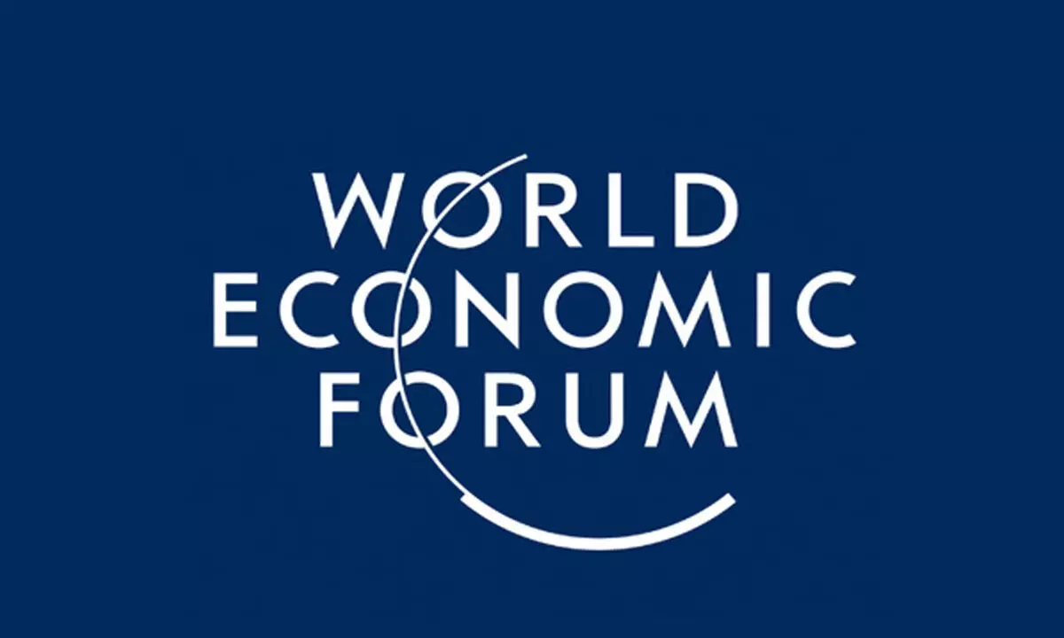 South Asia Brightest Emerging Market: WEF