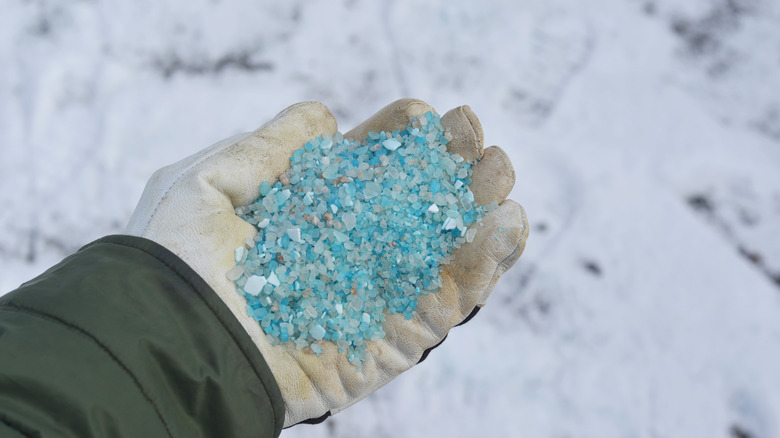 Think twice before salting a neighbor's sidewalk without asking this ...