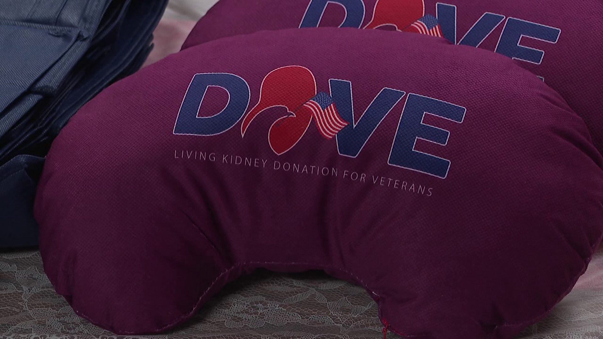 Veterans seek kidney donors at awareness event in Gouldsboro